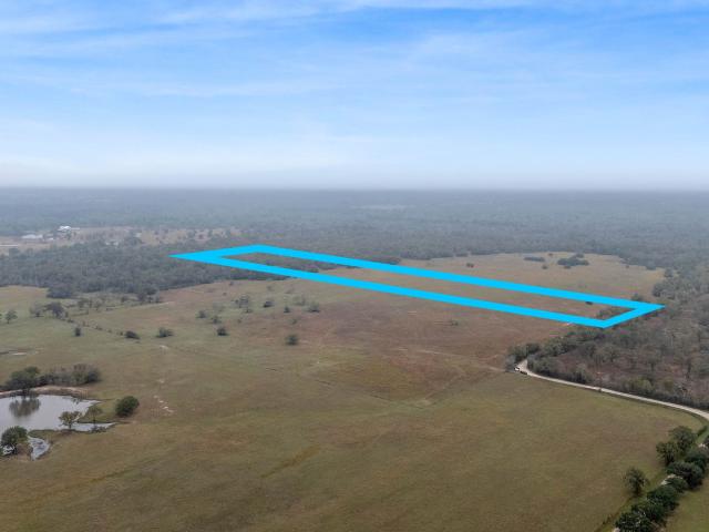 123 Tract 3 Bedias, TX 77831 | MLS #66881