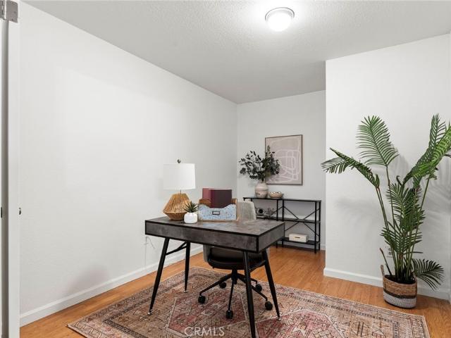 1244 Magnolia Avenue 3
