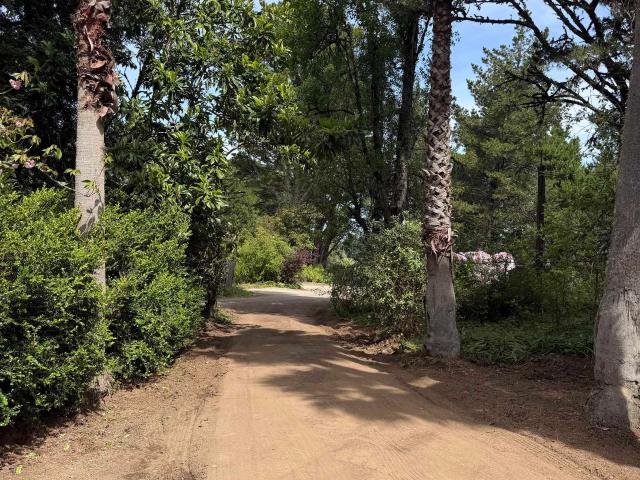 12450 Skyline Blvd