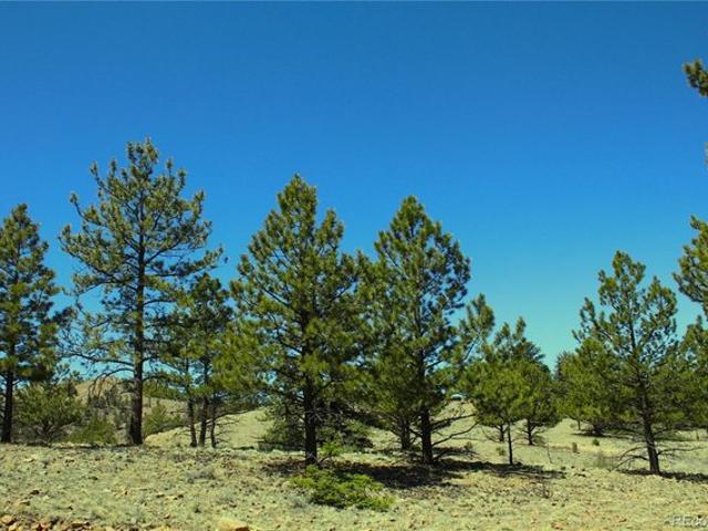 12451 # Us24 # Hartsel, CO 80449