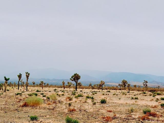 12452 Golden View