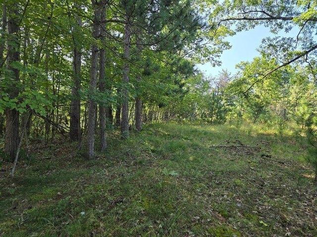 12457 Lake Emma Rd, Hawks, MI 49743