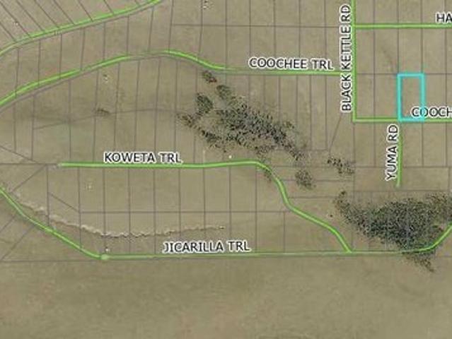 1245 Coochee Trl, Guffey, CO 80820