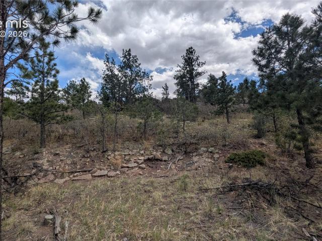 1245 Glenrock Drive