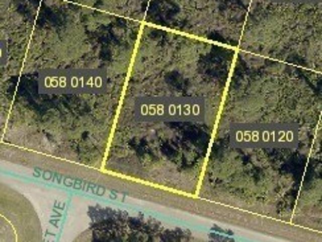 1245 Songbird St, Fort Myers, FL 33913