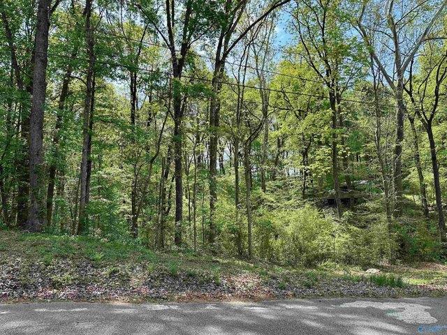 12466 Beech Fork Ln, Athens, AL 35611