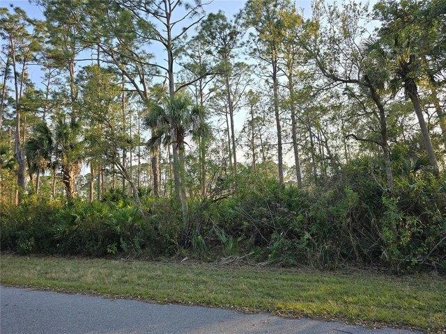 12469 Harlow Ave, Port Charlotte, FL 33953
