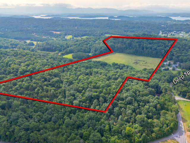1246 Deep Springs Rd