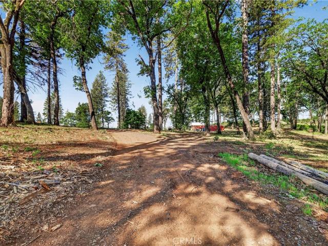 12471 Granite Ridge