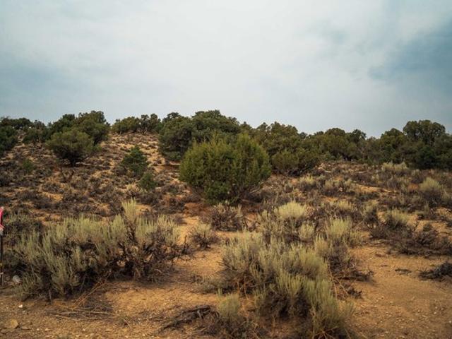 12476 Edythe Marett Dr Units 26 & 27, Duchesne, UT 84021