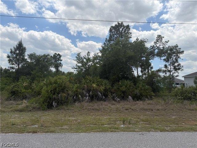 1247 Galileo St E, Lehigh Acres, FL 33974