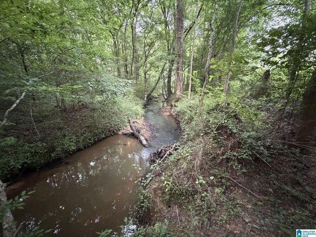 12482 County Road 19 Lot 0, Heflin, AL 36264