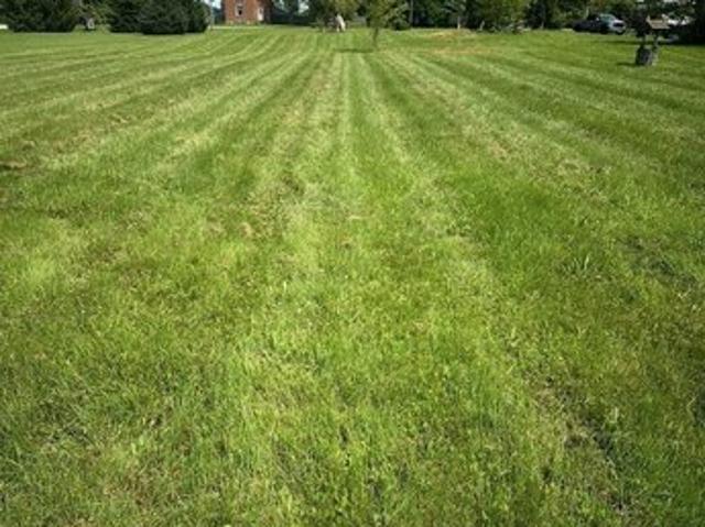 12400 S Gera Rd, Birch Run, MI 48415