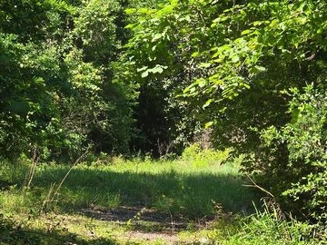 12405 FM 1414, Burkeville, TX 75932