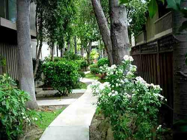 1240 Dale Avenue 1 Bedroom Apartment for Rent at 1240 Dale Ave, Mountain View, CA 94040 Cuernavaca