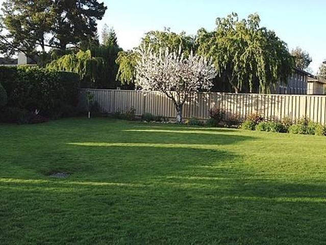 1240 Dale Avenue 1 Bedroom Apartment for Rent at 1240 Dale Ave, Mountain View, CA 94040 Cuernavaca