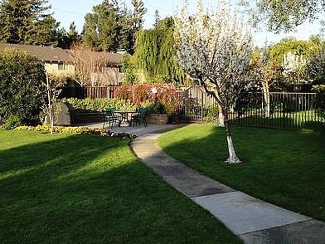 1240 Dale Avenue 1 Bedroom Apartment for Rent at 1240 Dale Ave, Mountain View, CA 94040 Cuernavaca