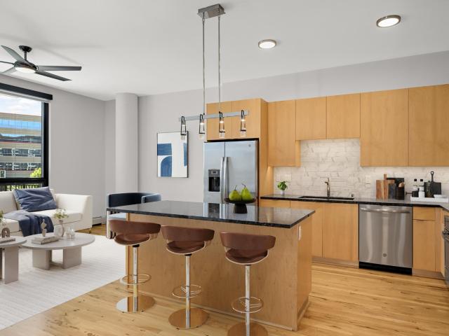 1240 S 2nd Street # 311
