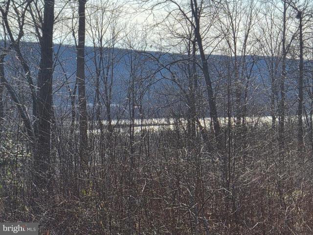 1241 Gap View Road