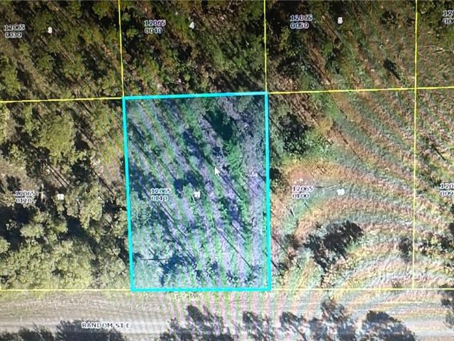 1241 Random St E, Lehigh Acres, FL 33974 | MLS #2025006