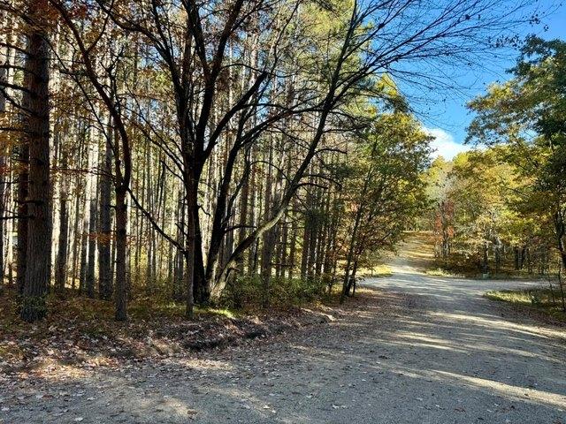 12426 Lone Wolf Trl Unit 40, Stanwood, MI 49346