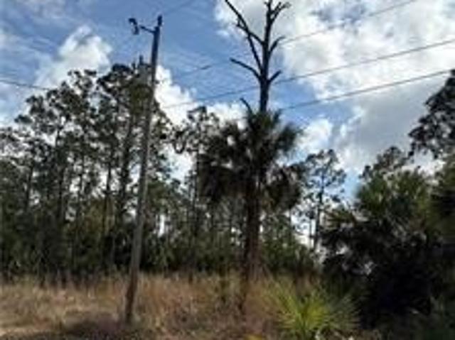 1242 Creary St E, Lehigh Acres, FL 33974