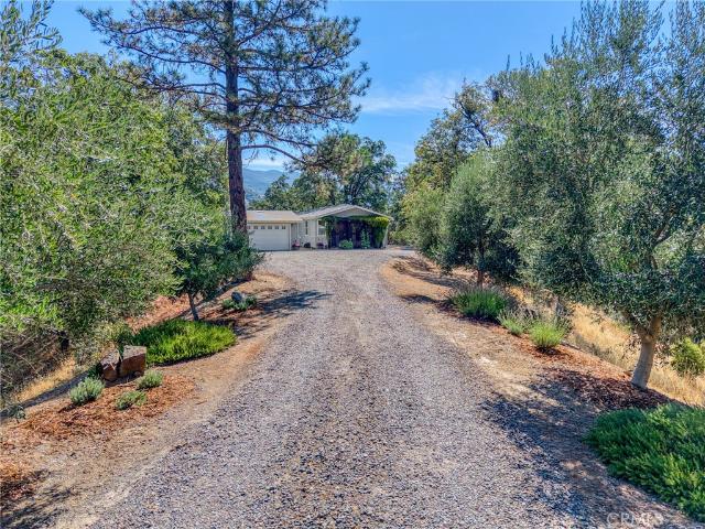 12431 Elk Mountain
