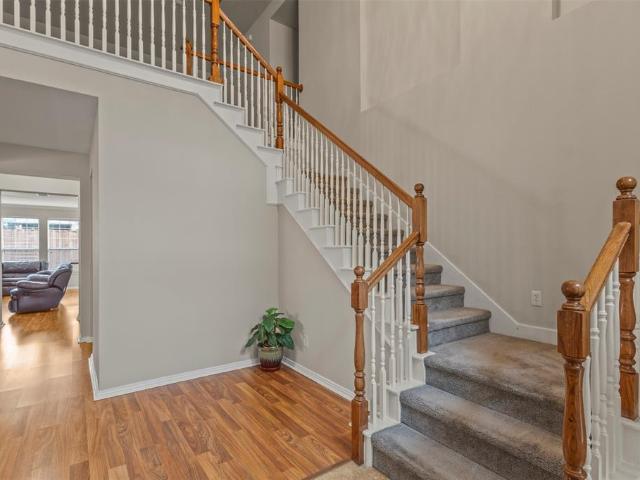 12436 Littlefield Drive