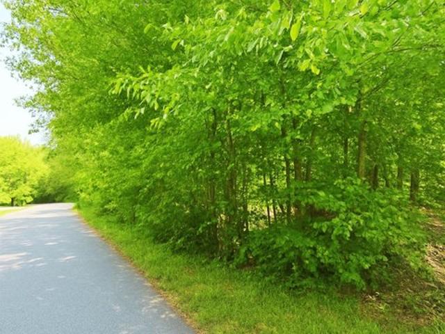 1243 Beechwood Dr, Newton, NC 28658