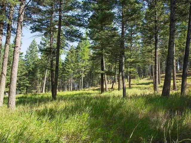 1243 Kienas Rd, Kalispell, MT 59901