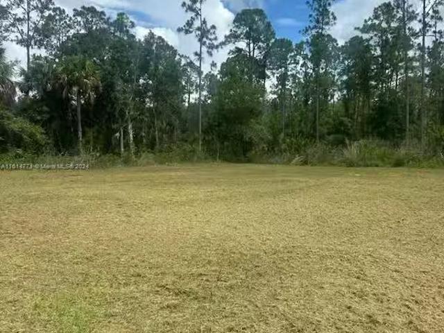 1243 RAPHAEL ST E, LEHIGH ACRES, FL 33974 Single Family Reside.