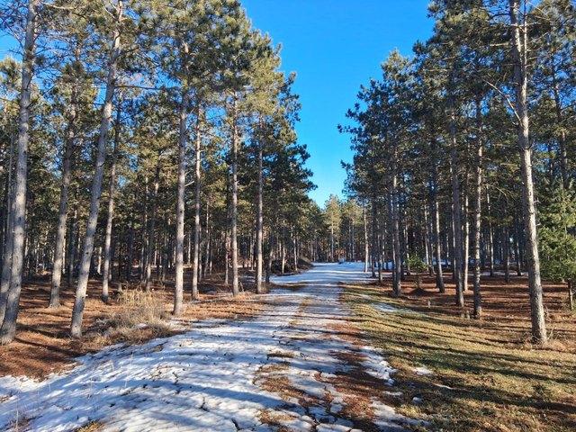 124 14th Ave, Nekoosa, WI 54457