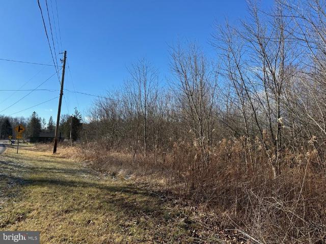 124 1St Street # 2 LOTS