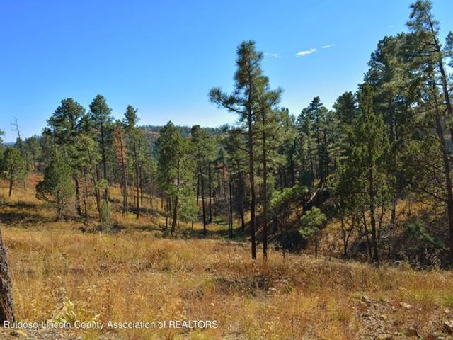 124 Crown Ridge Rd Lot 4A, Alto, NM 88312