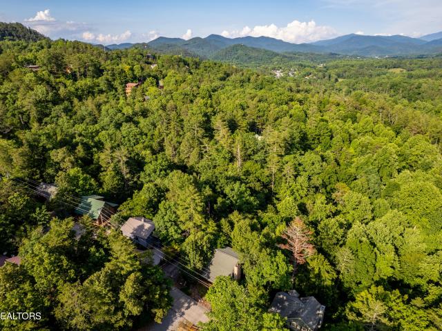 124 Cutter Gap Rd