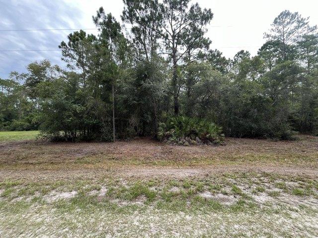 124 Glenside St, Georgetown, FL 32139