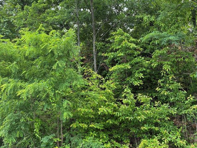 124 Devin Ridge Lane # 124