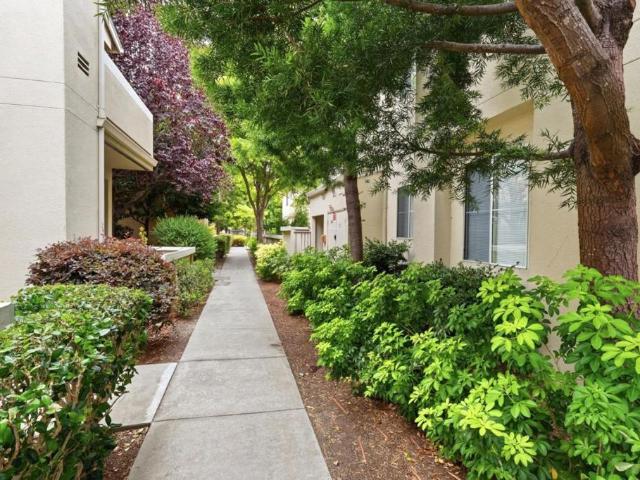124 Everson Drive