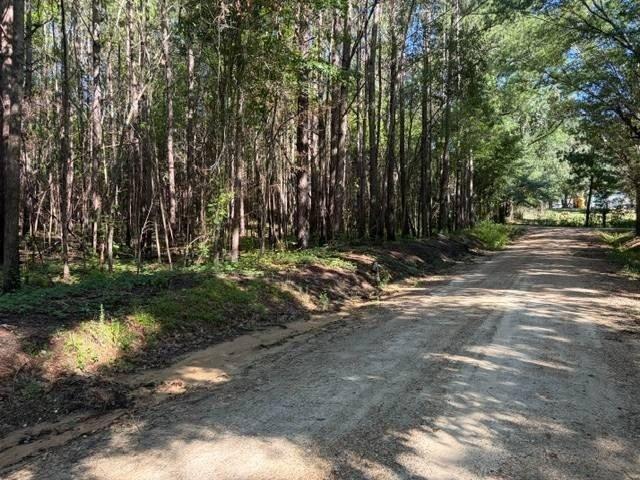 124 Hawkin Rd, Dozier, AL 36028