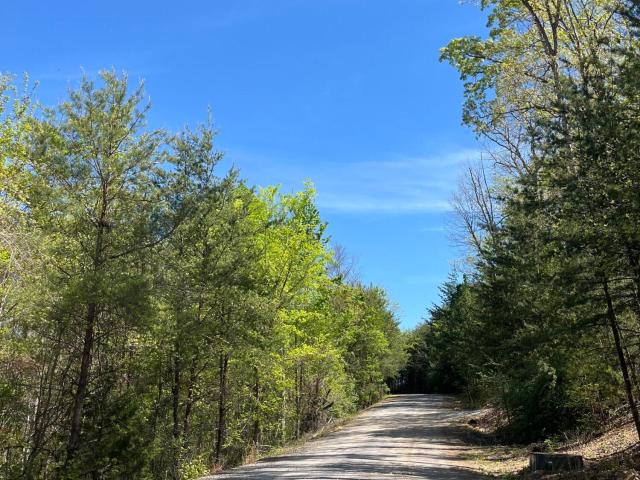 124 Indian Ridge
