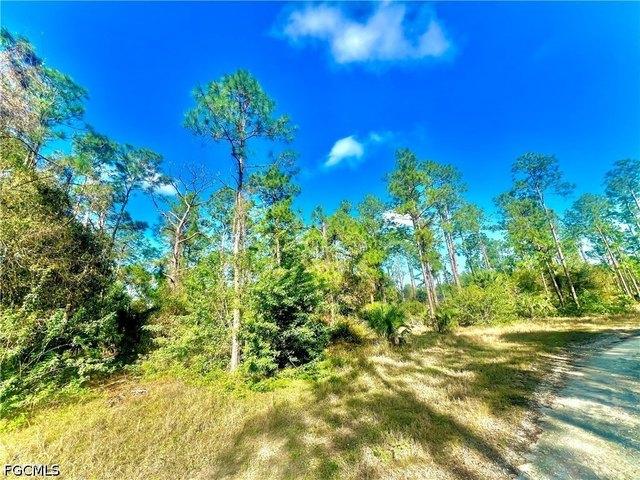 124 Nassau Ave, Lehigh Acres, FL 33974