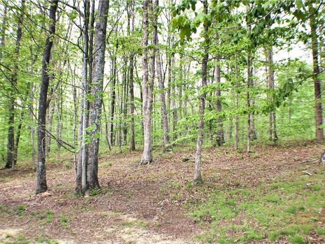 124 Stewart Ln, Rising Fawn, GA 30738 | MLS #7755