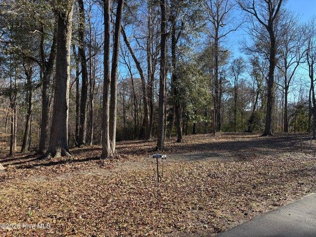124 River Bluffs Dr Lot 386, Castle Hayne, NC 28429