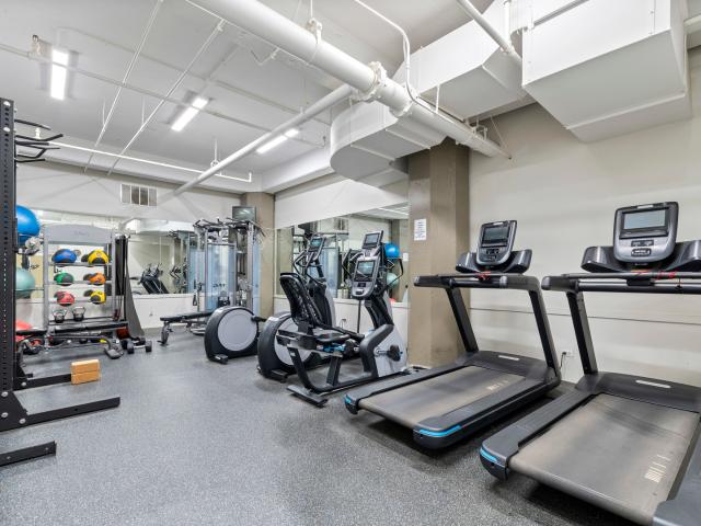 124 W Polk St, Unit 100, Chicago, IL 60605 | MLS #12685