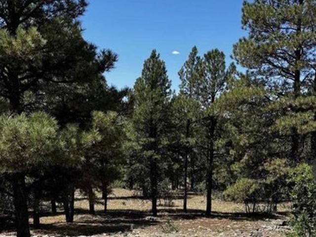 124 Woodridge Cir, Pagosa Springs, CO 81147