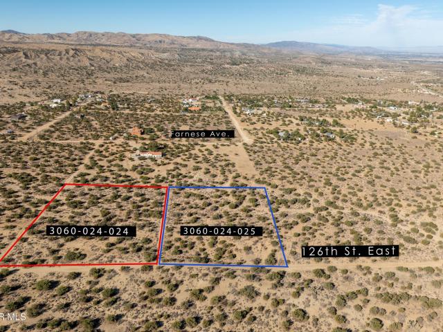124 Vic, Ste AVE X12 E, Pearblossom, CA 93553 | MLS #25008