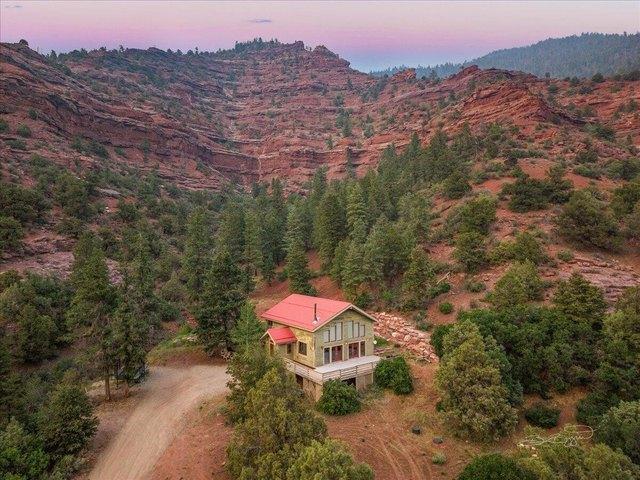 124 Village Ln, Placerville, CO 81430