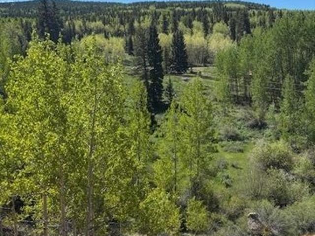 124 Yorktown Dr, Cripple Creek, CO 80813