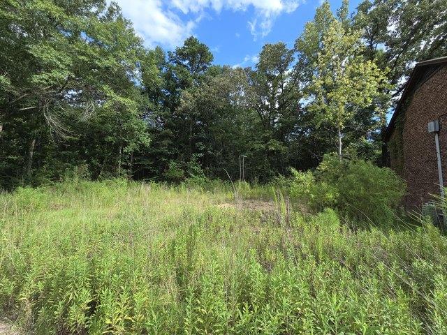 124B Plantation Blvd, Hattiesburg, MS 39401