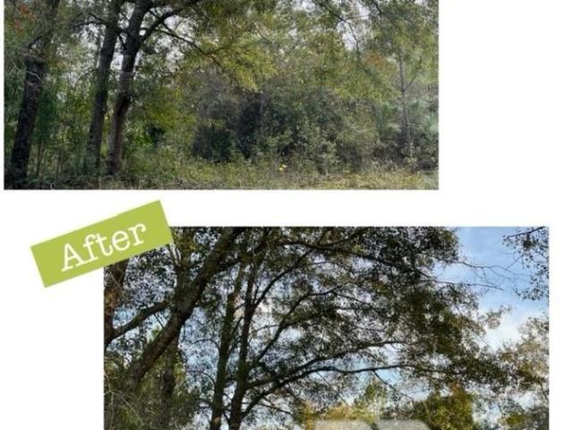 12541 Frondfield Lane